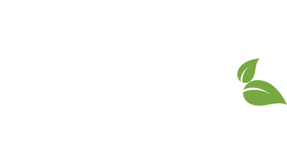 Niruja Teas – Sip Wellness, Savor Life